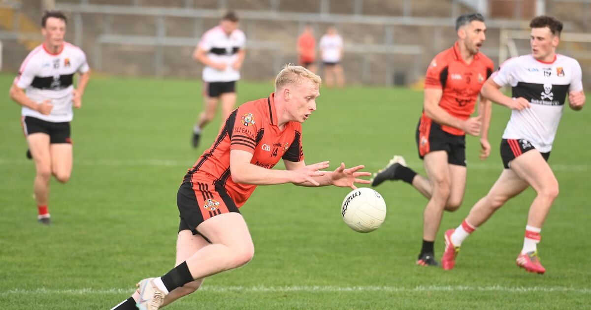 McAuliffe's two goals see Duhallow claim Cork Divisions title