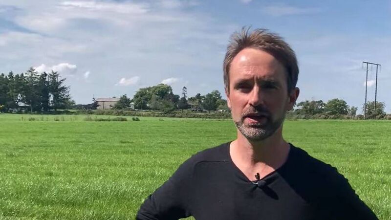 Specialised in-calf heifer producer to host farm walk