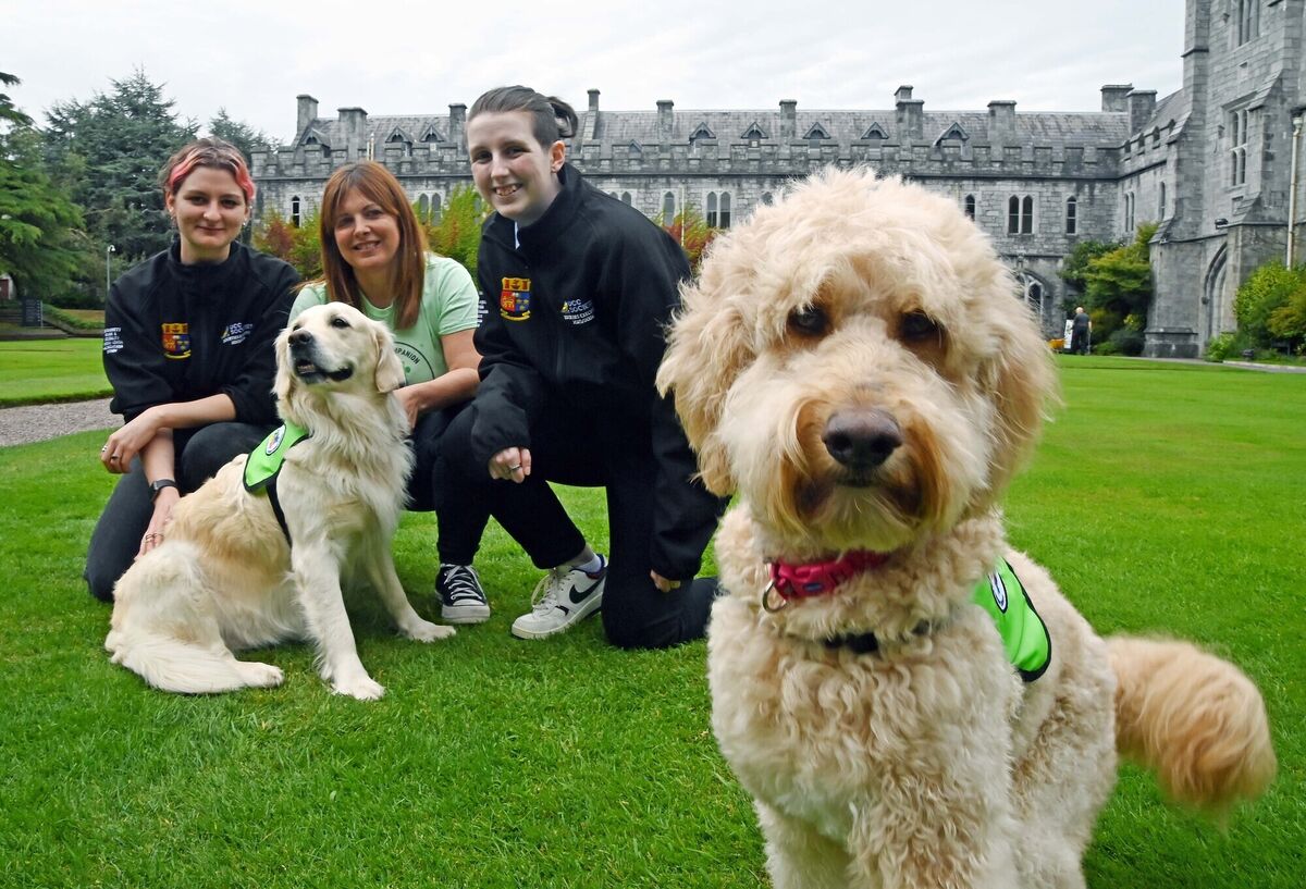 UCC welcomes first of its kind therapy dog on campus