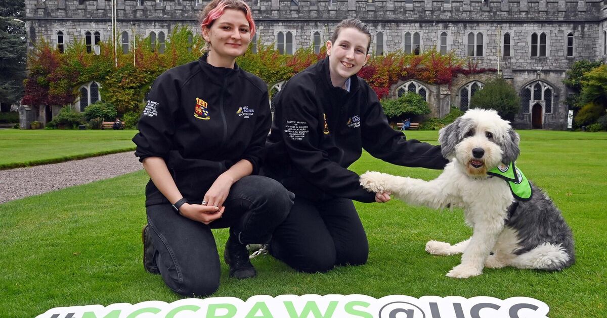 UCC welcomes first of its kind therapy dog on campus