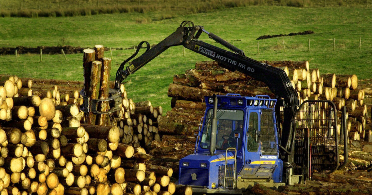 Letters to the Editor: A sustainable future for the Irish forestry industry