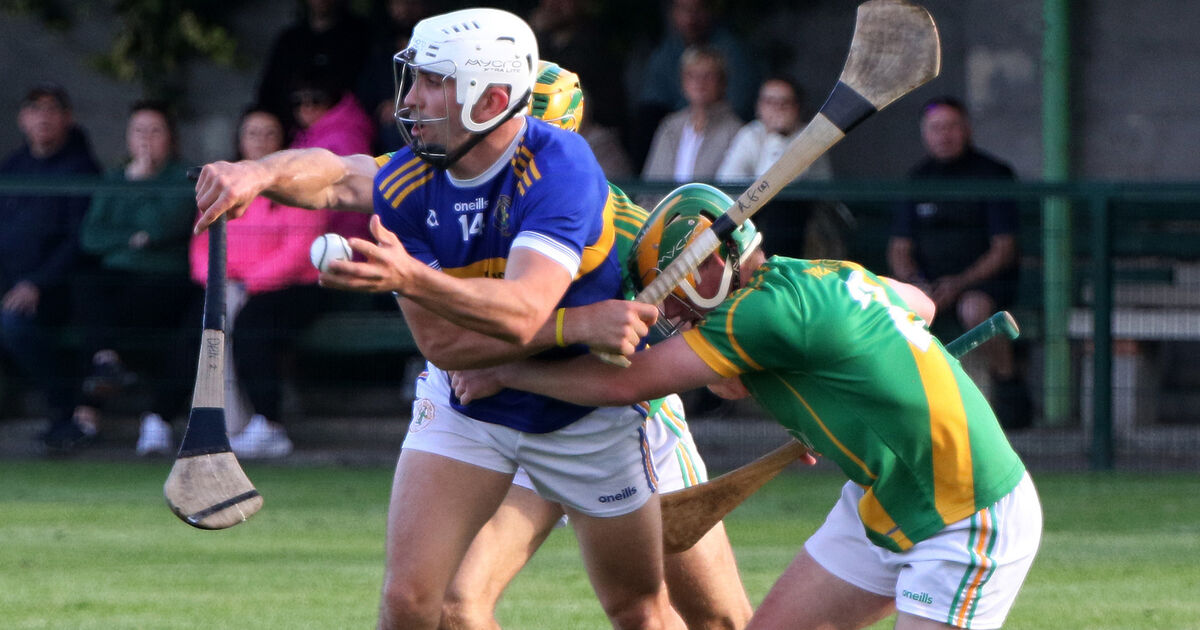Patrickswell back to winning ways with pillar to post win over Ahane