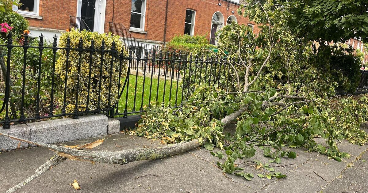 Kerry sees highest daily August rainfall since 1986 during Storm Betty