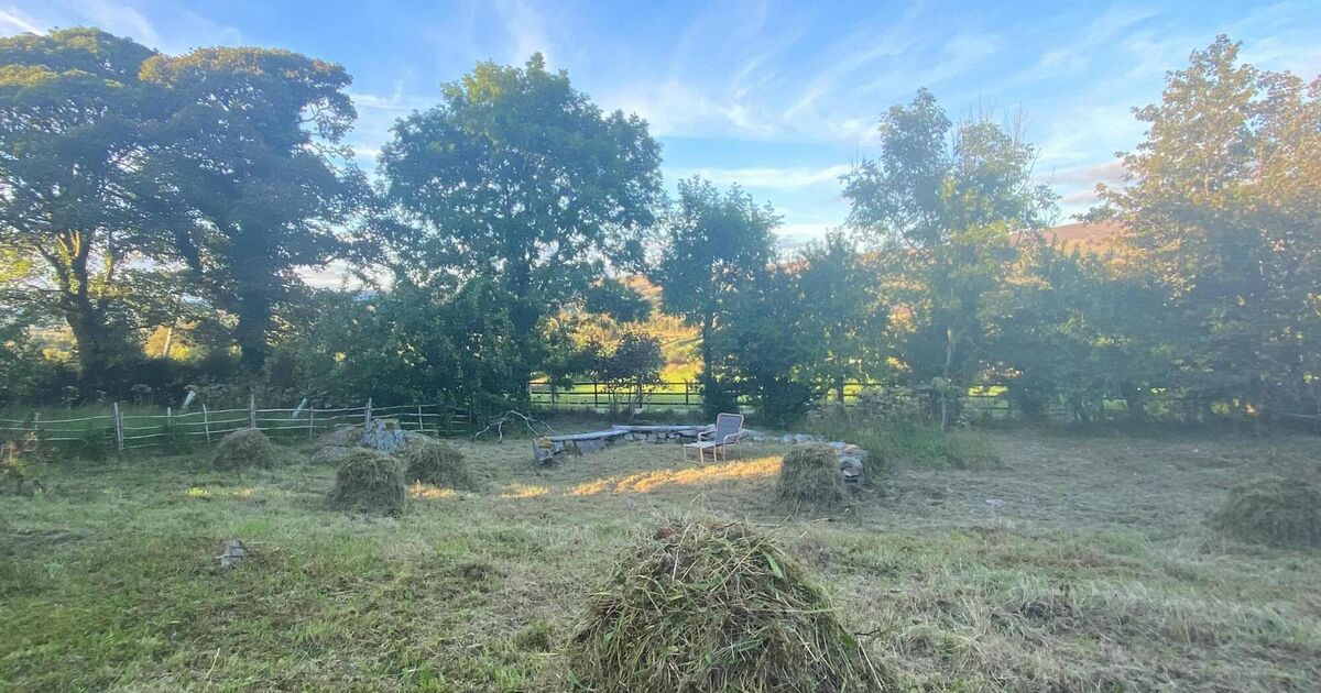 Anja Murray: Making hay and enjoying a 'messy' garden while the sun shines