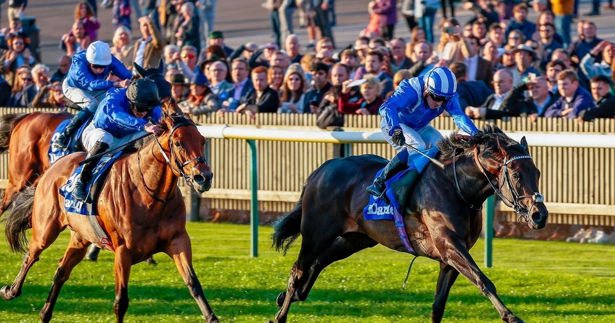 Alflaila handed Group 1 chance in Irish Champion Stakes