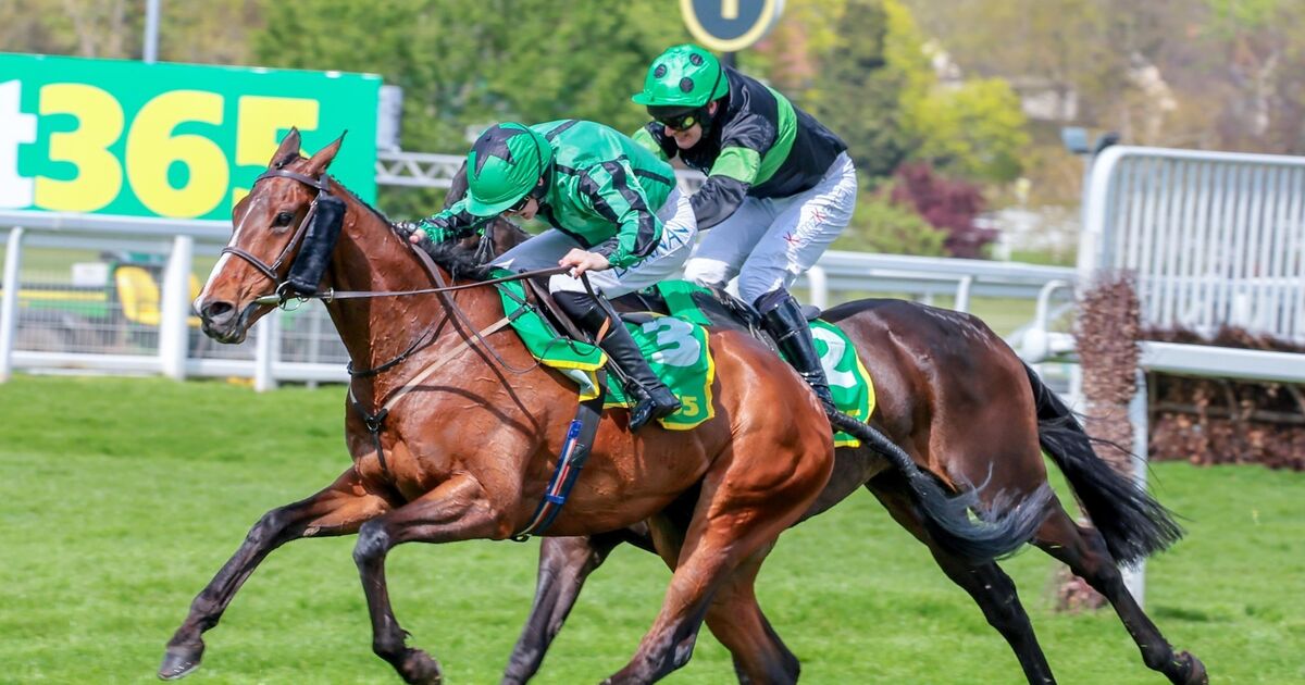 John 'Shark' Hanlon ponders best route for Hewick