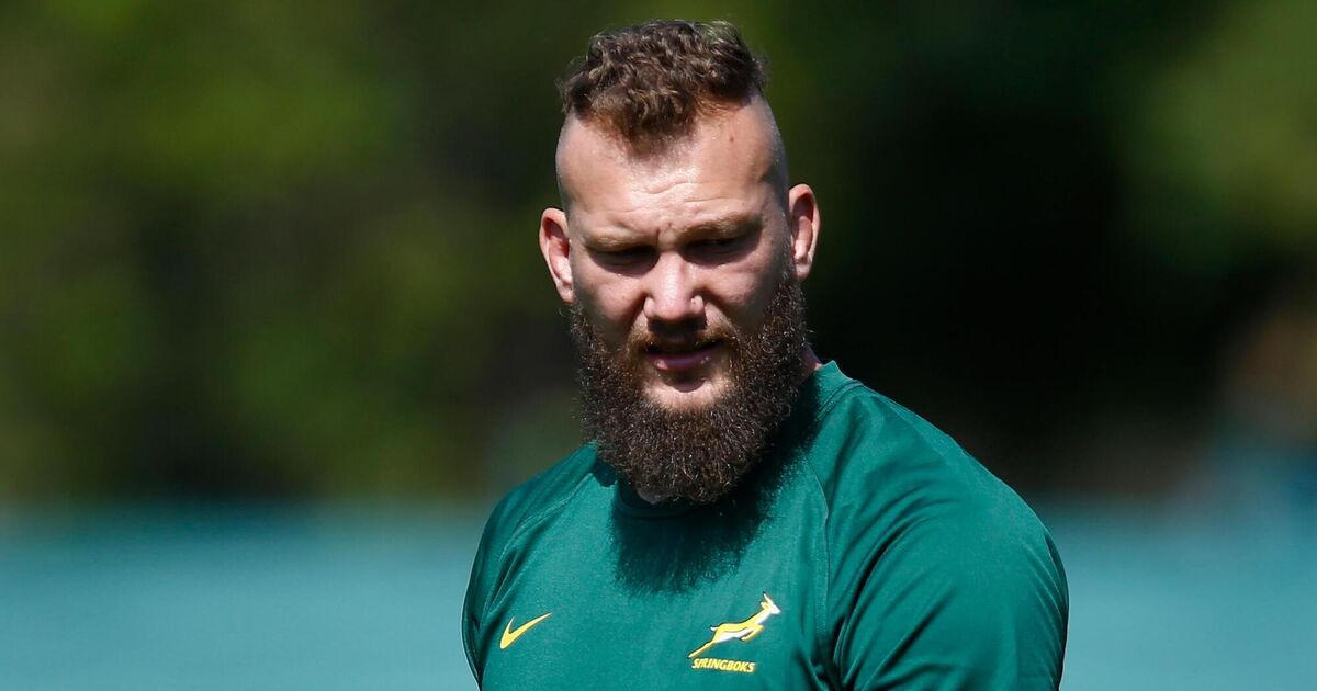 RG Snyman thankful to Munster on his return to World Cup duties with ...