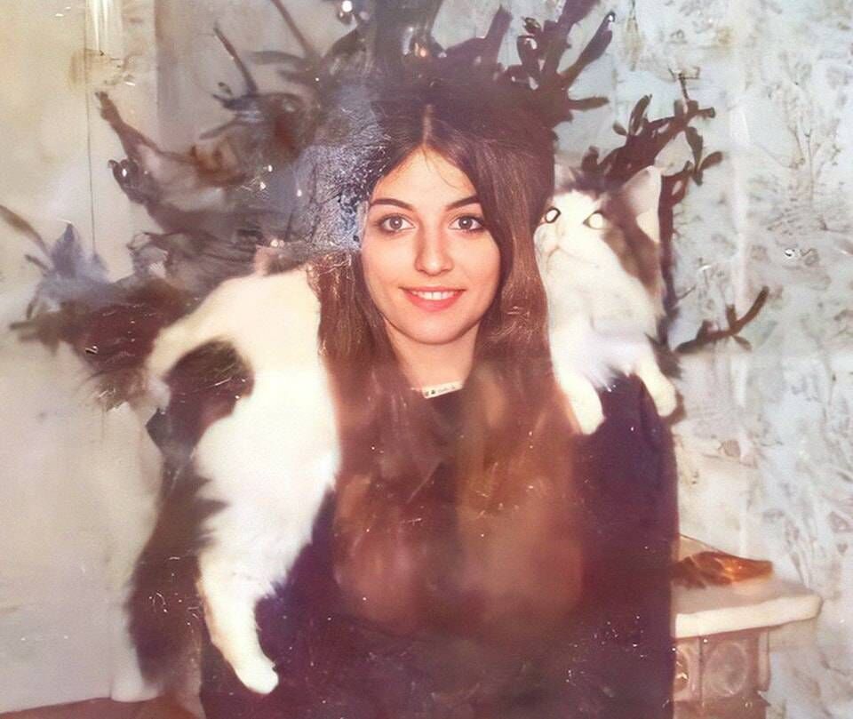 Munster pet helpline founder 'was comforting voice at other end of the ...