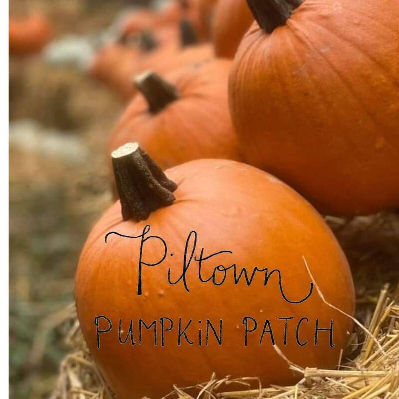 Your guide to where to pick your own pumpkins across Ireland this year