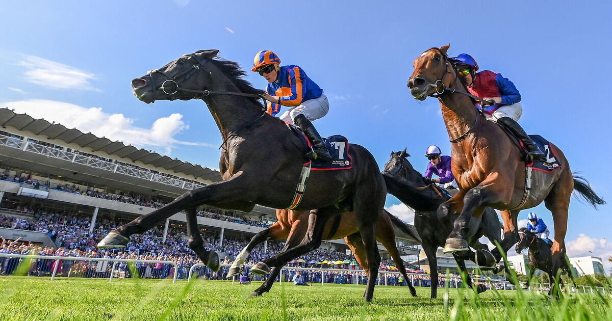 Auguste Rodin wins Royal Bahrain Irish Champions Stakes