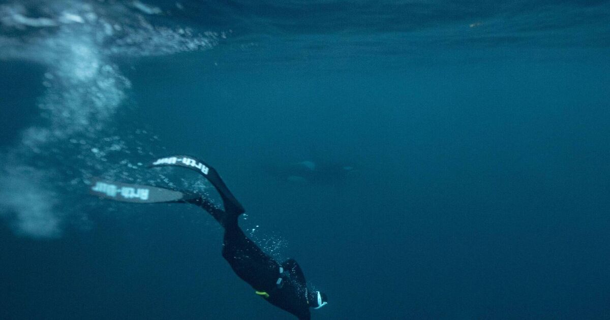 Colin Sheridan: Finding freedom deep in the dark