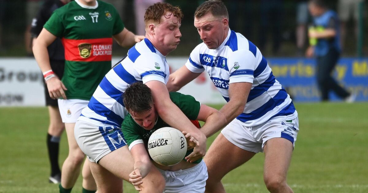 Haven value for progress but Clonakilty given reprieve