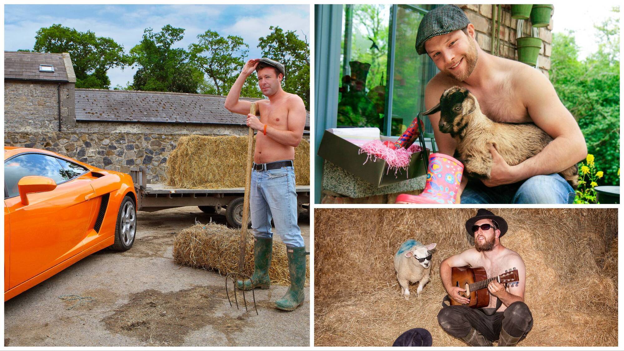 From lambs to Lamborghinis: Irish Farmer calendar returns with fan ...