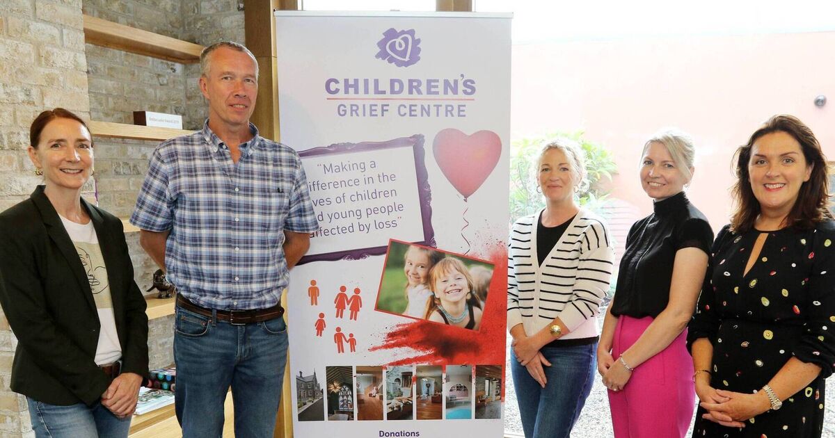 'I really needed help': Children's Grief Centre helped Anthony Foley's ...