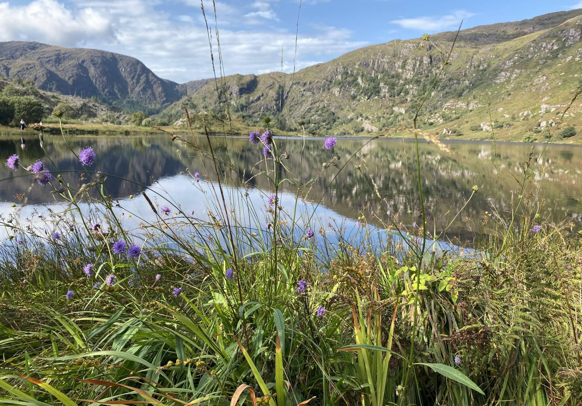 Anja Murray: Time in nature is such a powerful antidote to feelings of ...