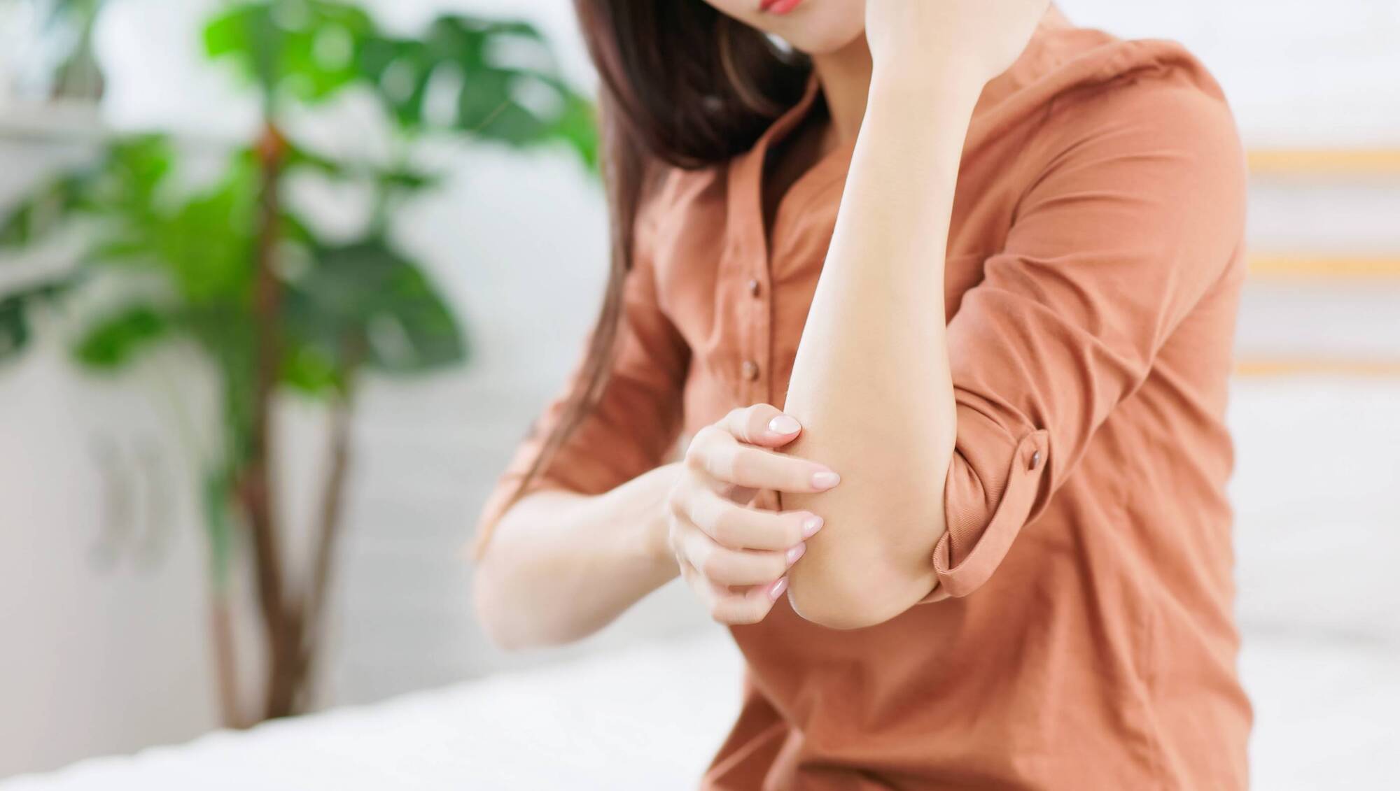 Life Hack: Five common fly and insect bites in Ireland and how to ...