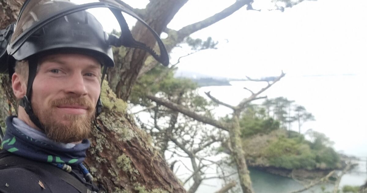 My Job: A second-generation ‘tree man’