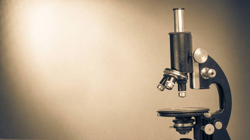 Vital Organs: A new book puts famous historical body parts put under ...