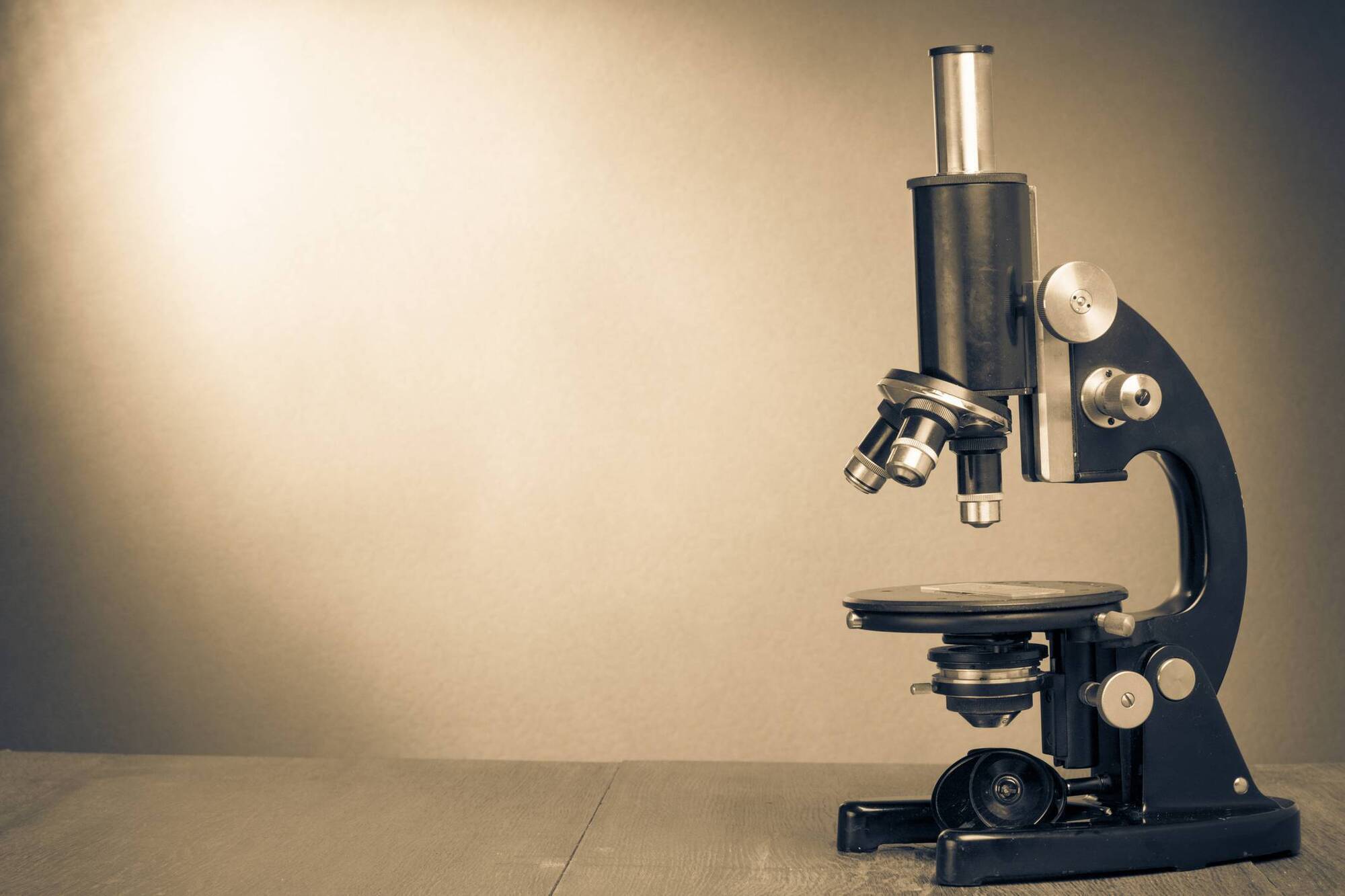 Vital Organs: A new book puts famous historical body parts put under ...