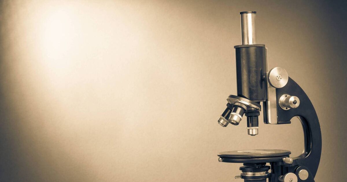 Vital Organs: A new book puts famous historical body parts put under ...