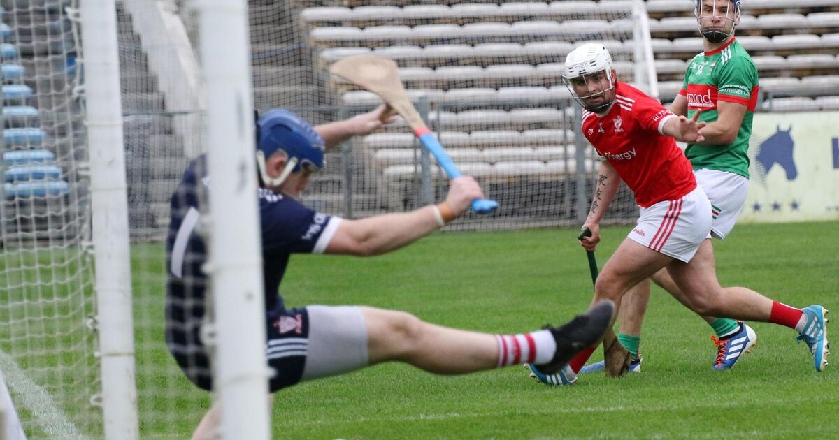 John McGrath hits 1-13 as Loughmore's survival instincts defy Roscrea