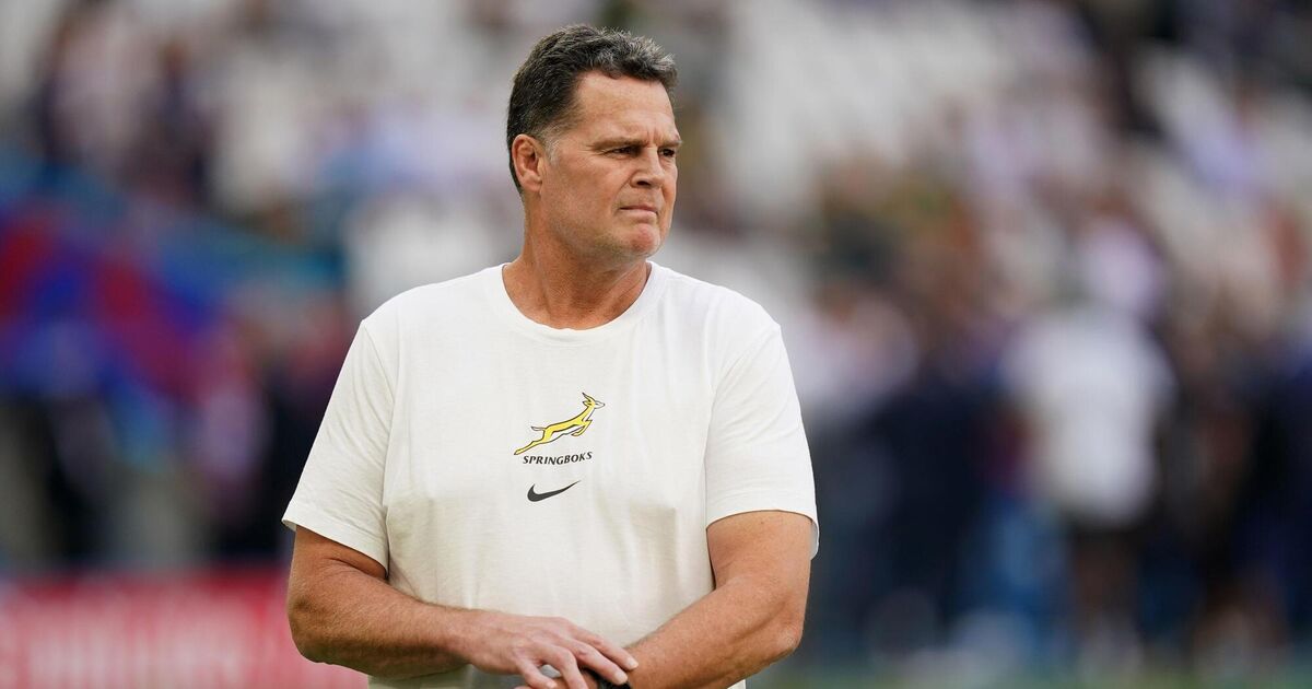 'He'd be amazing at that role' — Simon Zebo backs Rassie Erasmus for ...