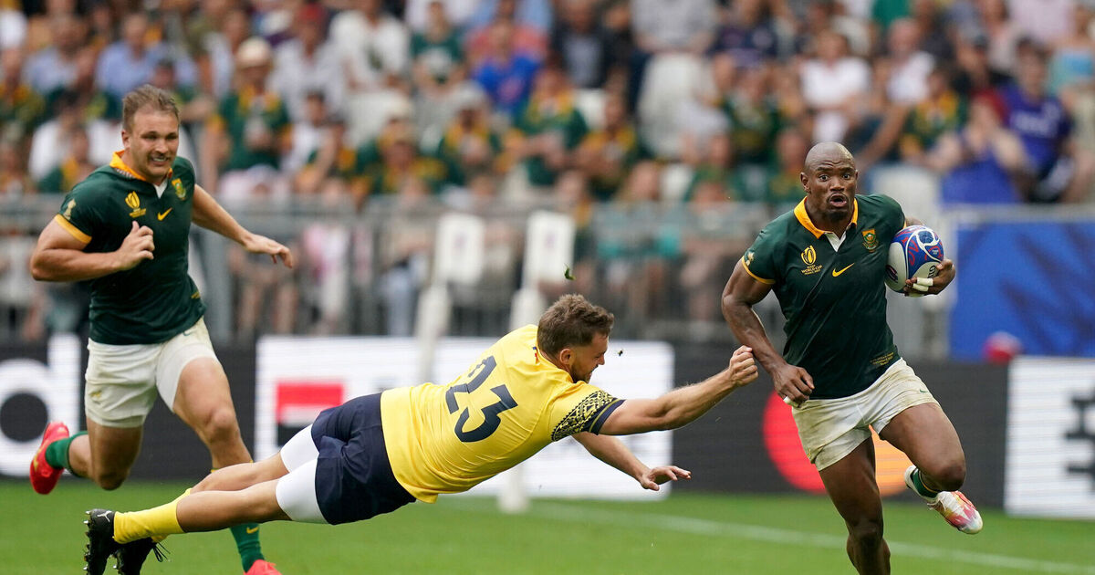 Springboks enjoy lightest of workouts before heavyweight clash with Ireland