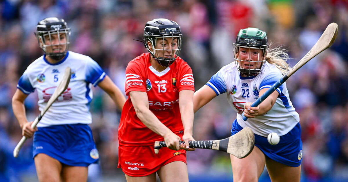 Cork and Waterford dominate Camogie All-Star award nominations