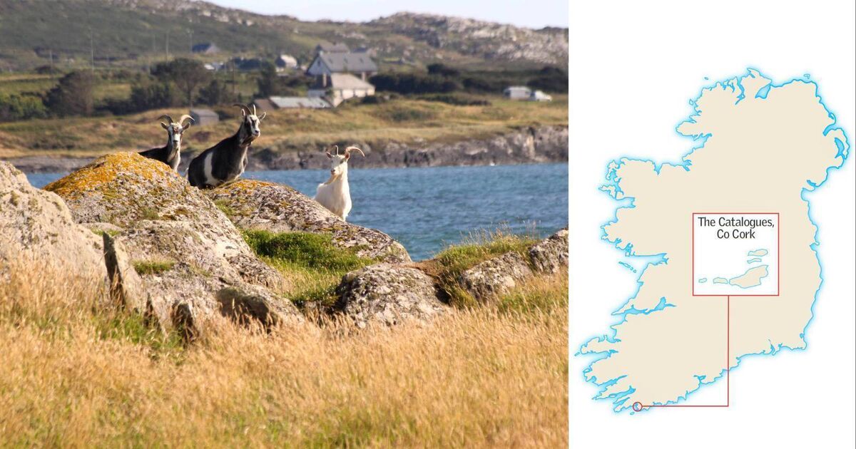 Islands of Ireland: A personal connection to West Cork islands with a ...