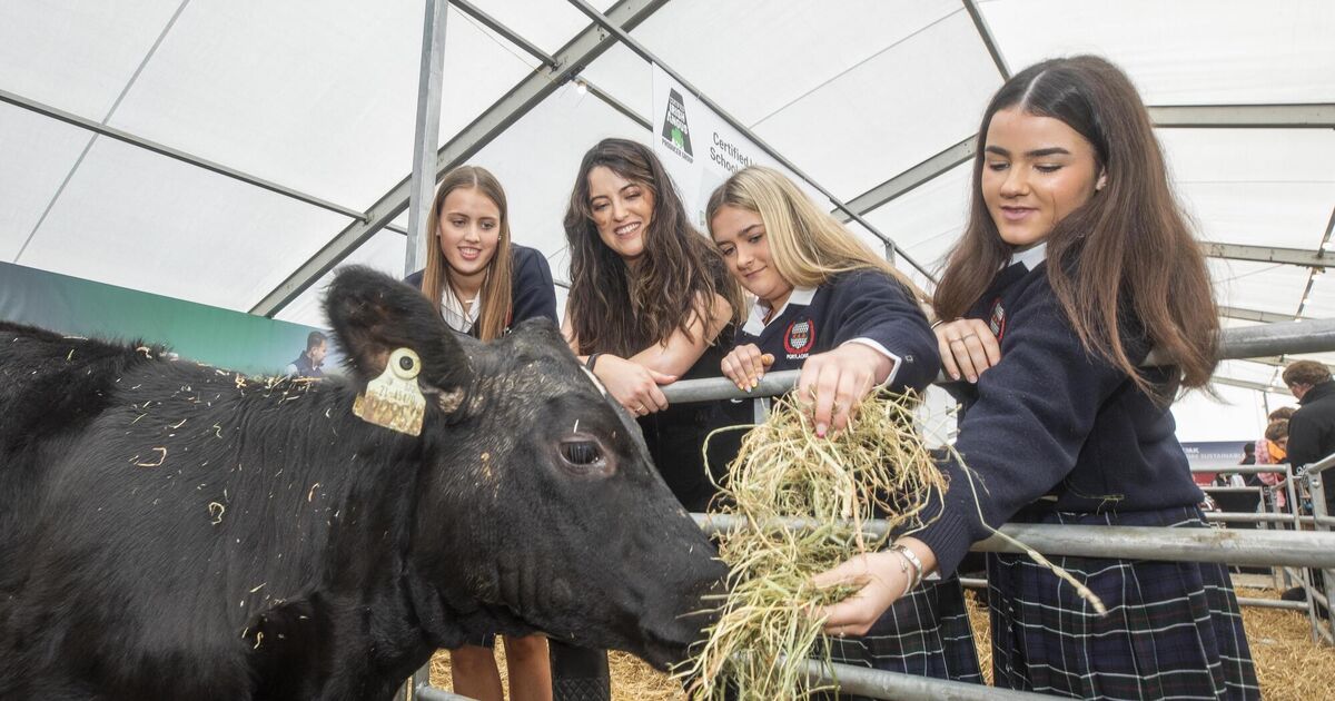 Five schools chosen as finalists in Certified Irish Angus Schools ...