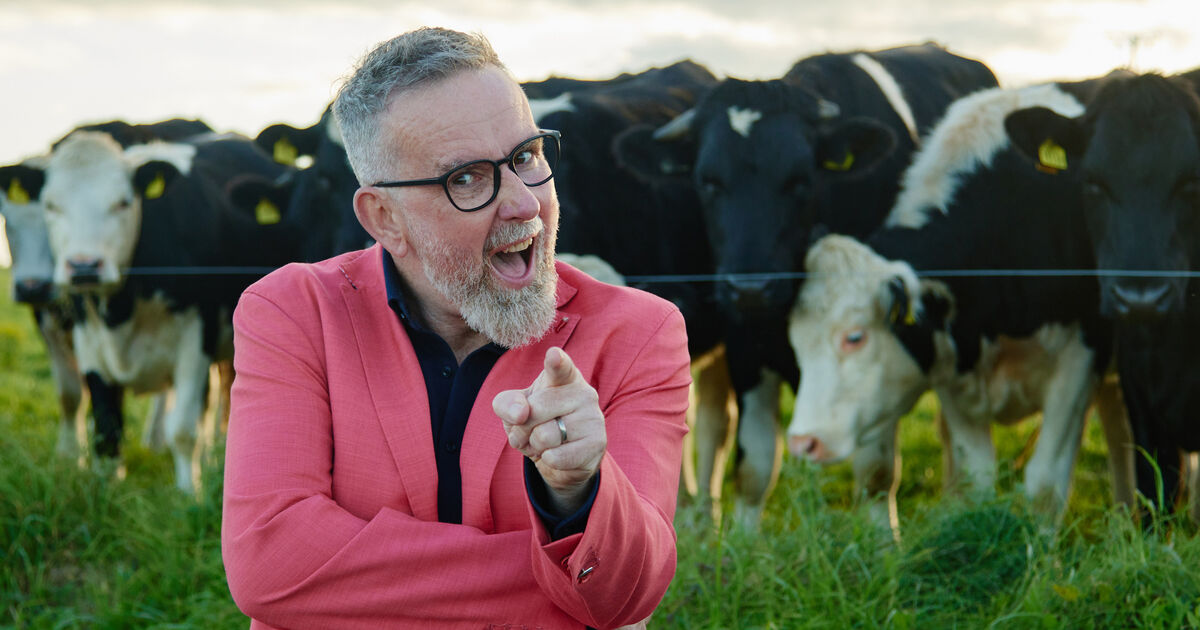Why Reggie from the Blackrock Rd has decided to run for President of ...