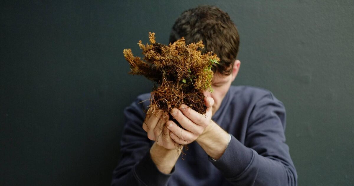 Luke Casserly: Dublin Theatre Festival show brings common scents to ...