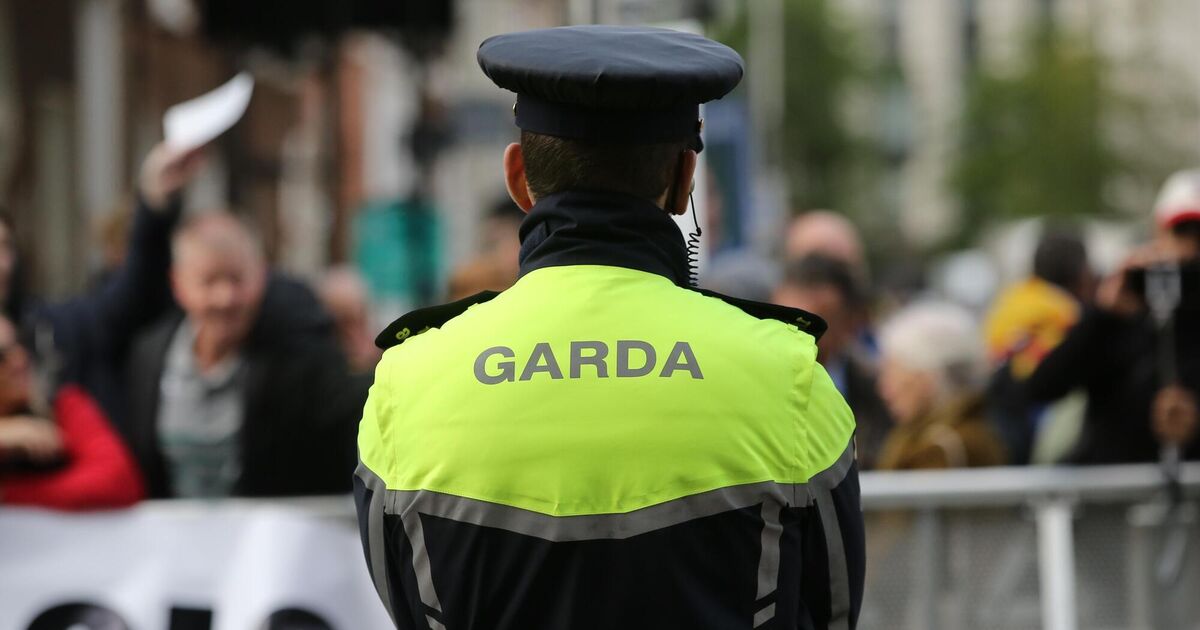 Offences Against the State Act being considered to deal with aggressive ...