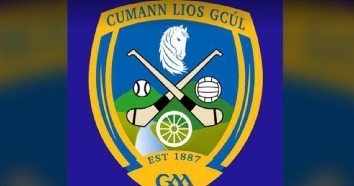 Lisgoold make history with first-ever East Cork triumph