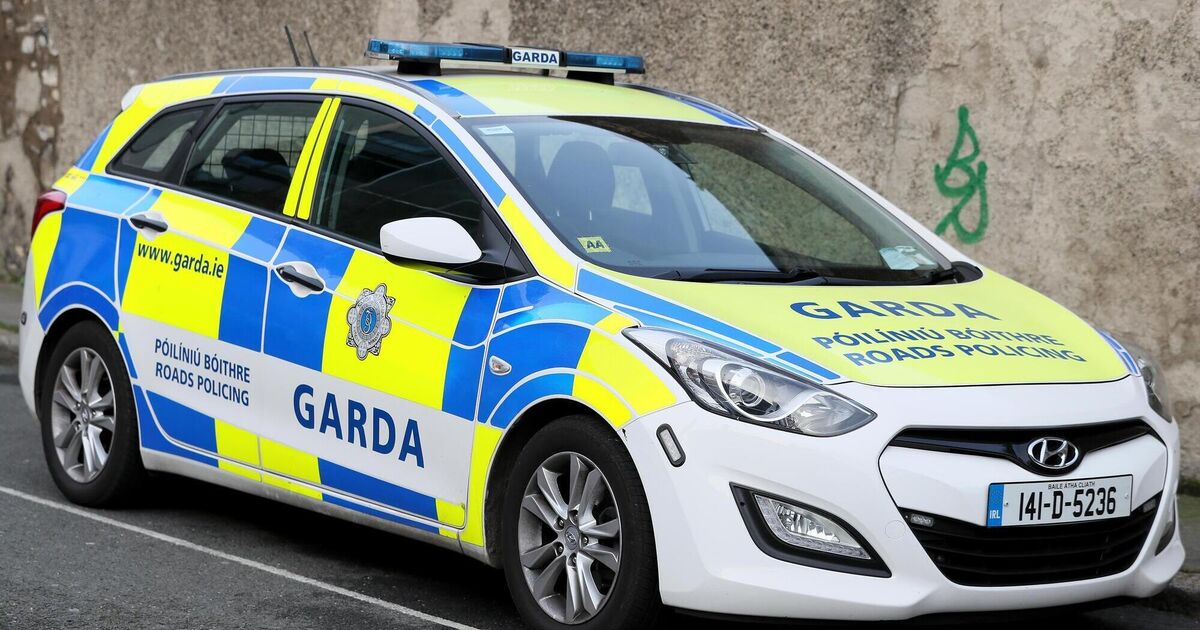 Garda investigation launched after boy bitten by dog in Limerick