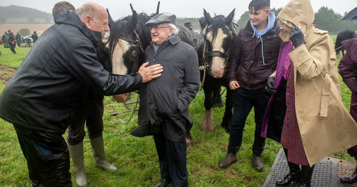 Catherine Conlon: Here is the evidence for cutting back on meat