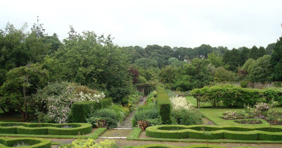 How a Cork family of garden lovers grew a horticultural haven