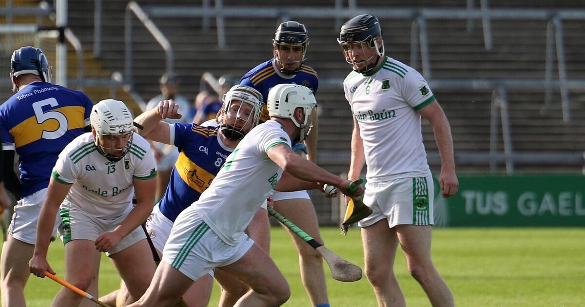 Personal glory won't derail Patrickwell's star trio