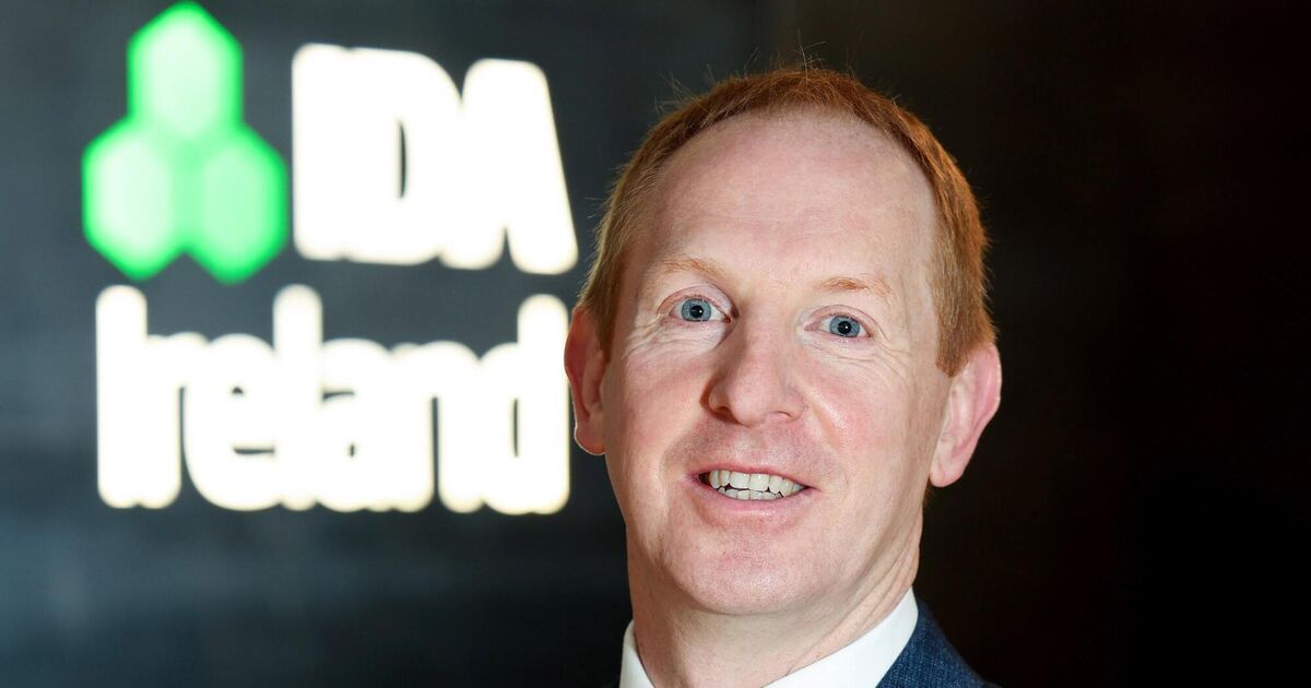 IDA chief forecasts continued growth for investment projects