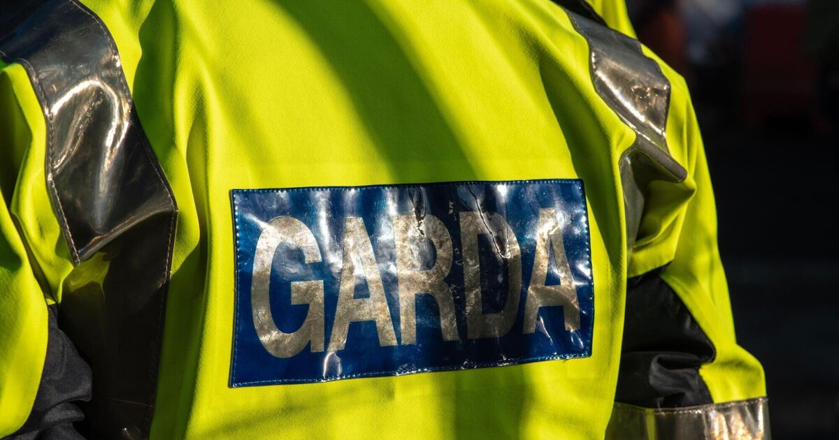 Number of rank-and-file gardaí at lowest level in almost six years