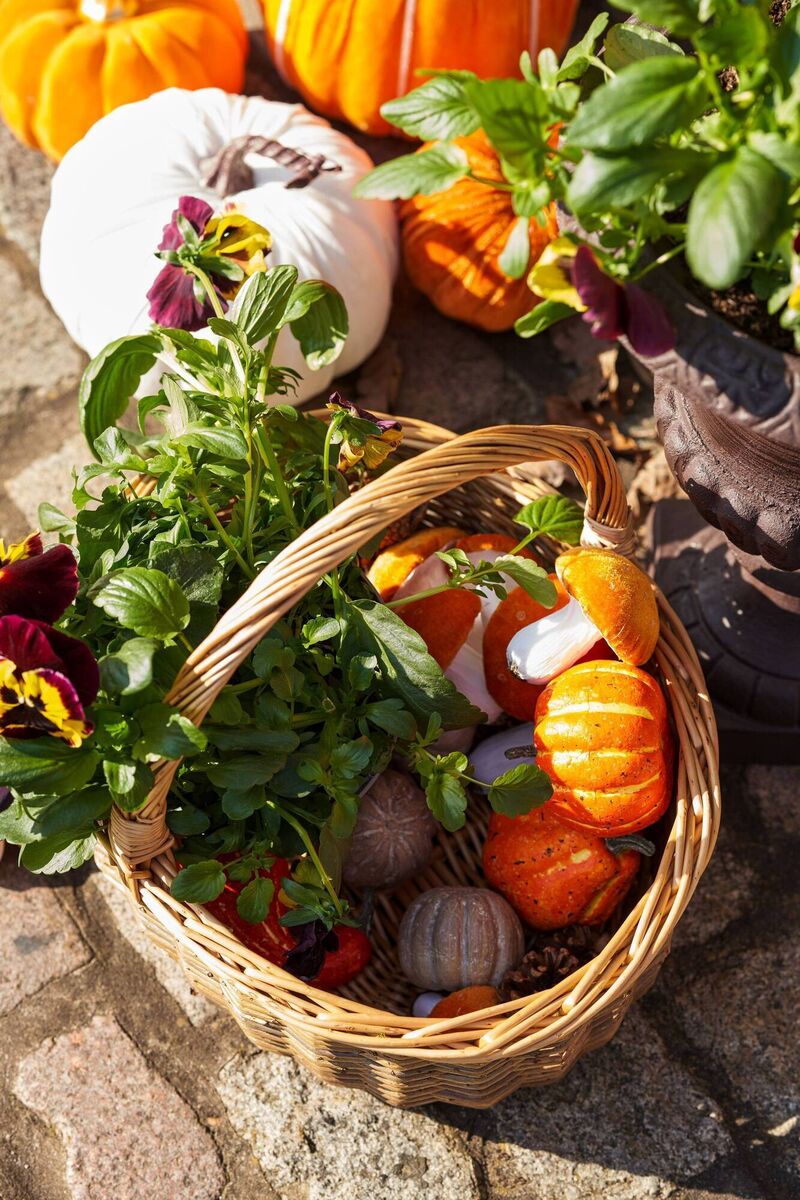 Doorscaping: Create a fab front door display this autumn