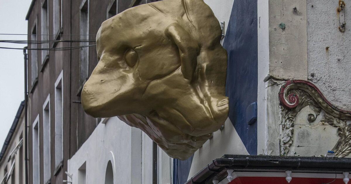 'Face Cup' appears on Exchange Building as part of Cork sculpture trail