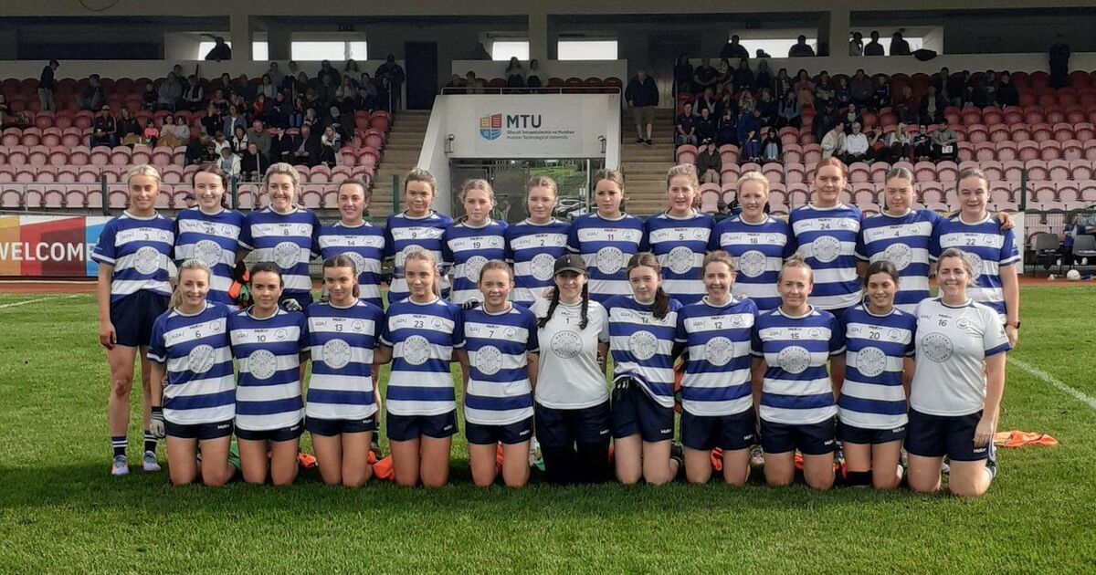 Castlehaven cap first year at senior with county title