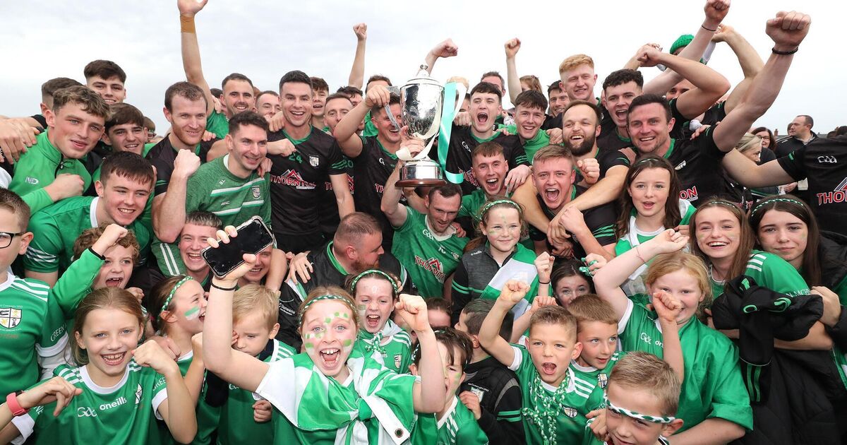 Conhuir Johnston goals the difference as Erins Own Cargin retain Antrim ...