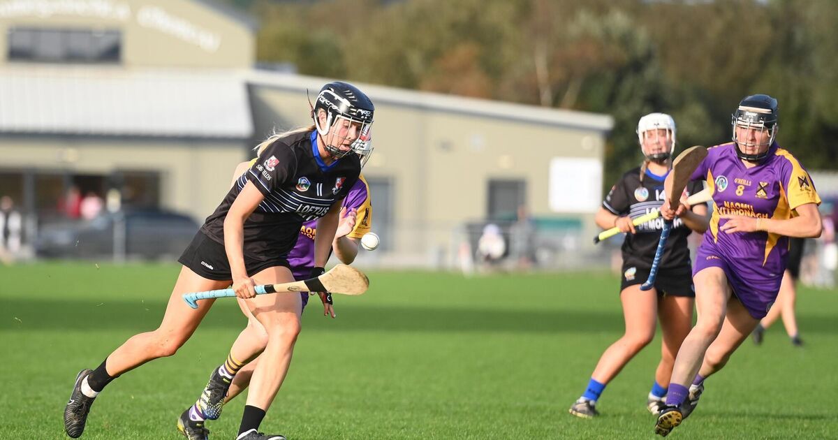 Sarsfields hold on to set up repeat of last year's final