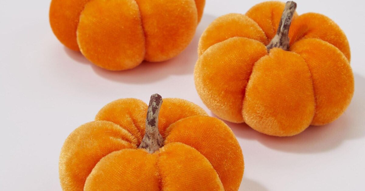 Save or Splurge? 'Posh pumpkin' picks for Halloween displays