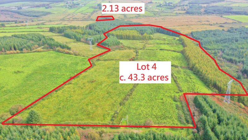 61-acre Kerry farm in 4 lots receiving offers