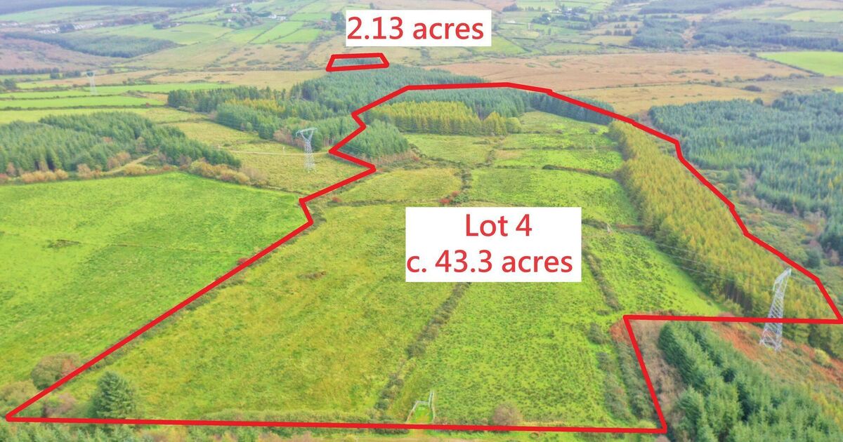 61-acre Kerry farm in 4 lots receiving offers