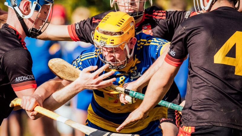 Can another first-timer succeed in expanded Harty Cup?