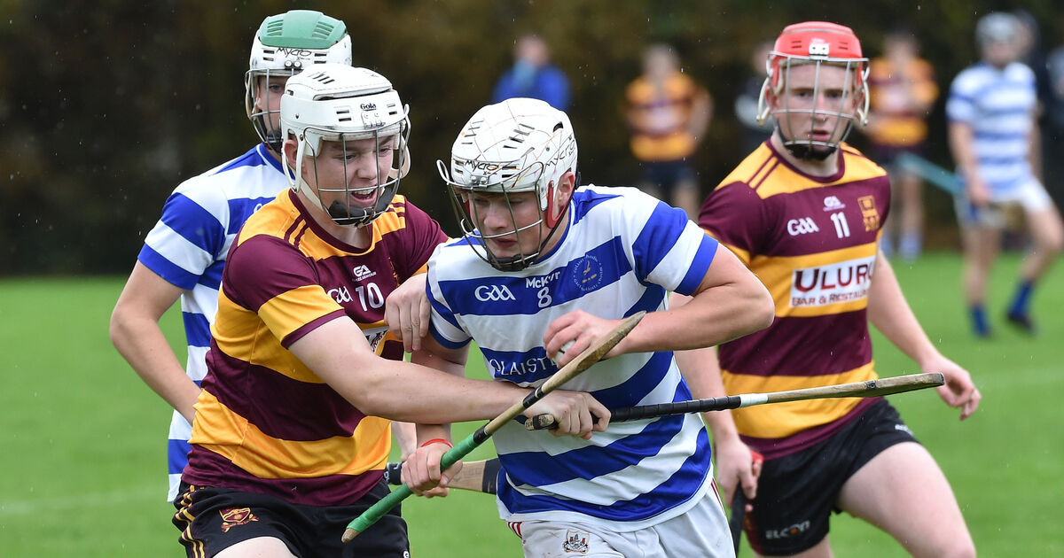 Harty Cup: Kirwan rescues draw for De La Salle against debutants ...